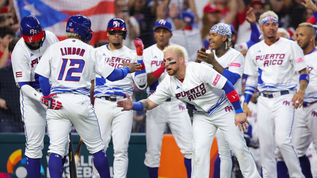 Puerto Rico World Baseball Classic fans set hair-related world record ...