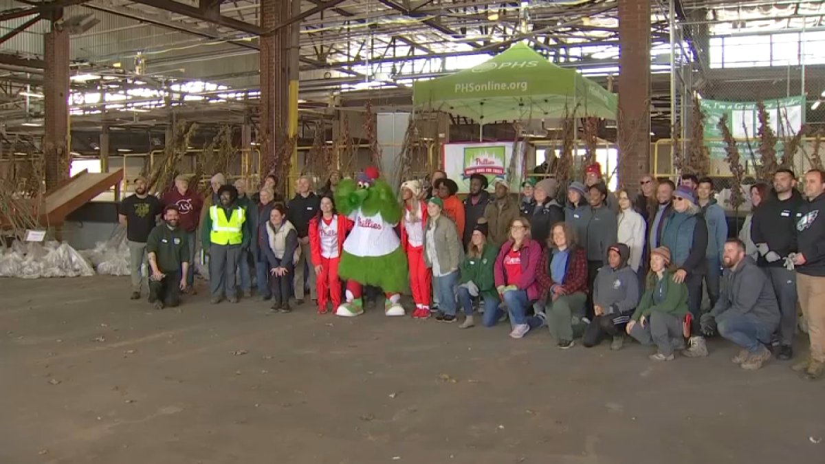 Phillie Phanatic helps volunteers distribute trees for planting – NBC ...
